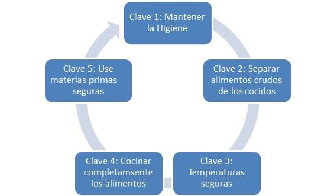 Cinco claves de la inocuidad alimentaria - Grupo Gestali